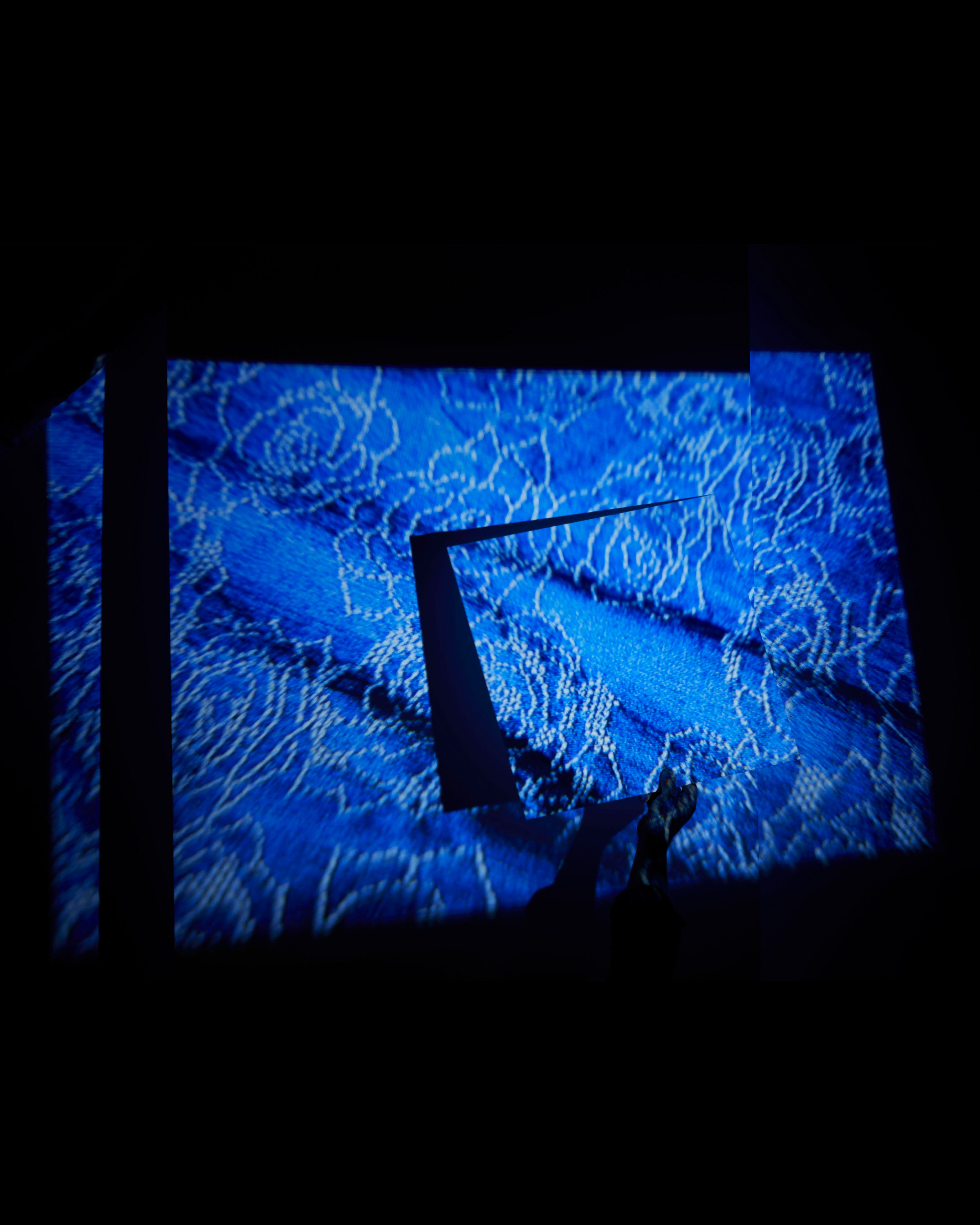 ROSE PATTERN JACQUARD DENIM – CALEE ONLINE STORE